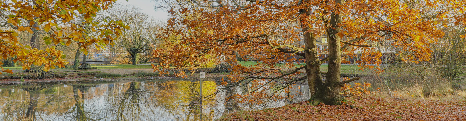 Living in Buckhurst Hill | Estate Agents Buckhurst Hill | william rose